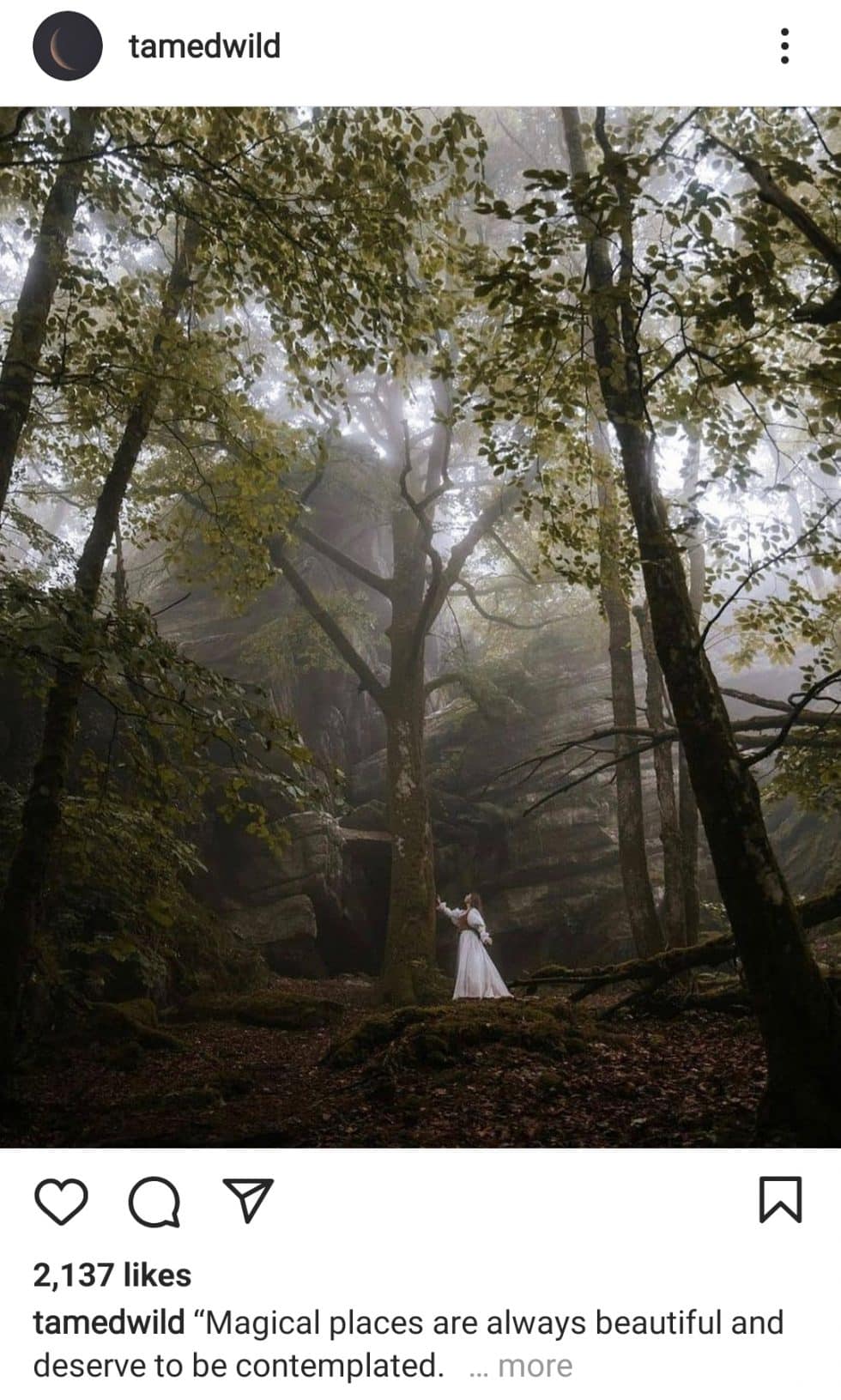 How to Write the Most Engaging Social Media Posts